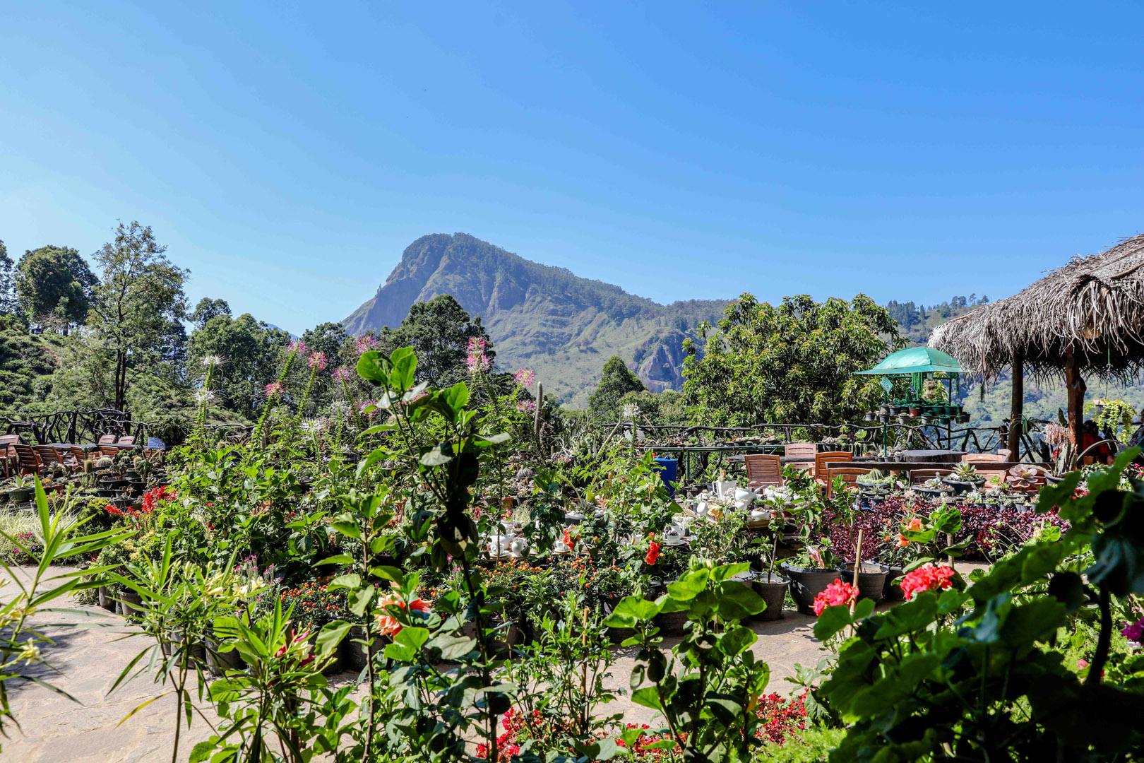 Ella Flower Garden Resort