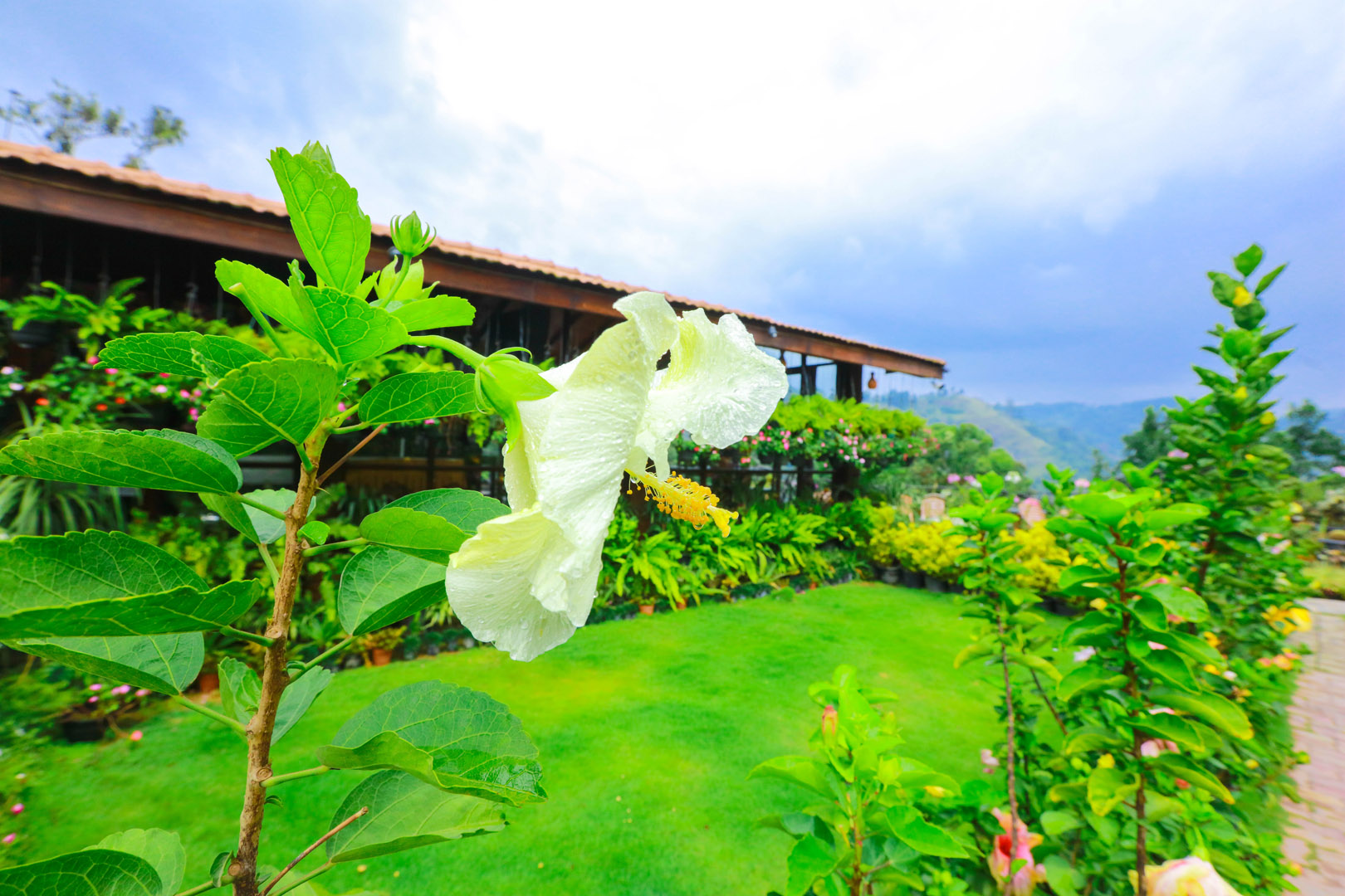 Ella Flower Garden Resort