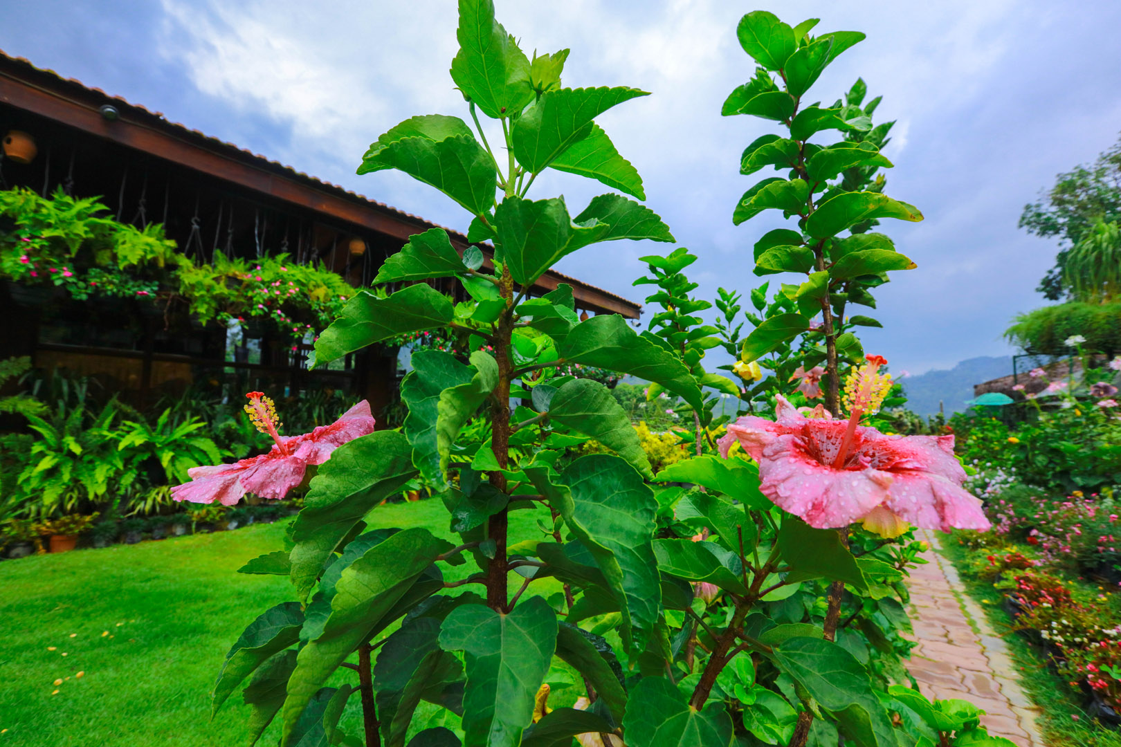 Ella Flower Garden Resort