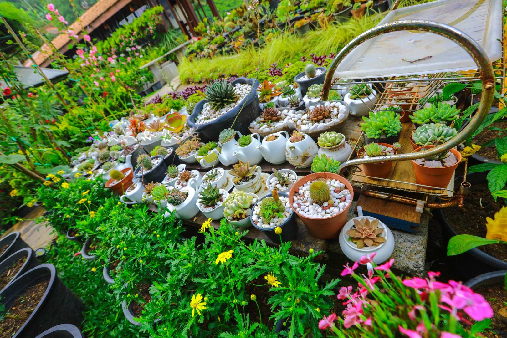 Ella Flower Garden Resort