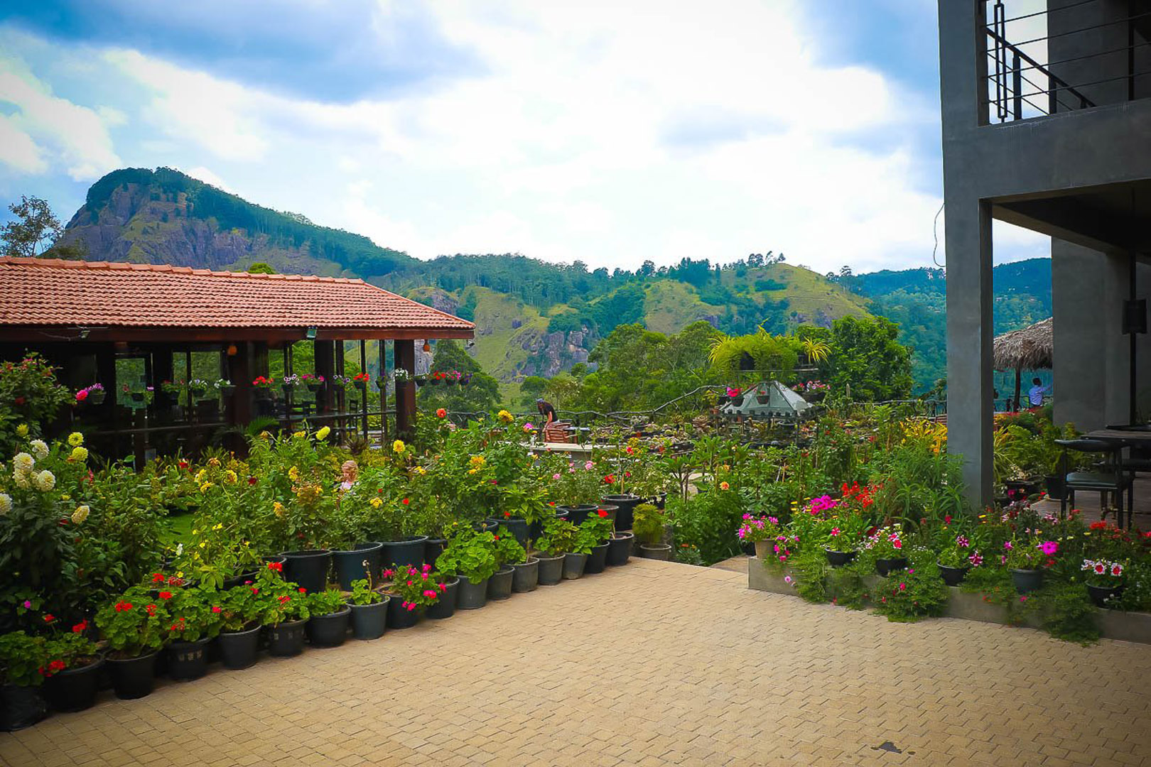 Ella Flower Garden Resort