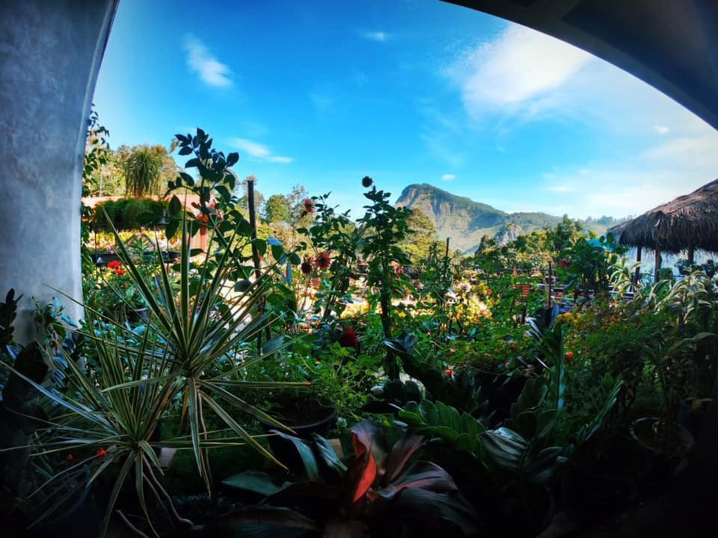 Ella Flower Garden Resort