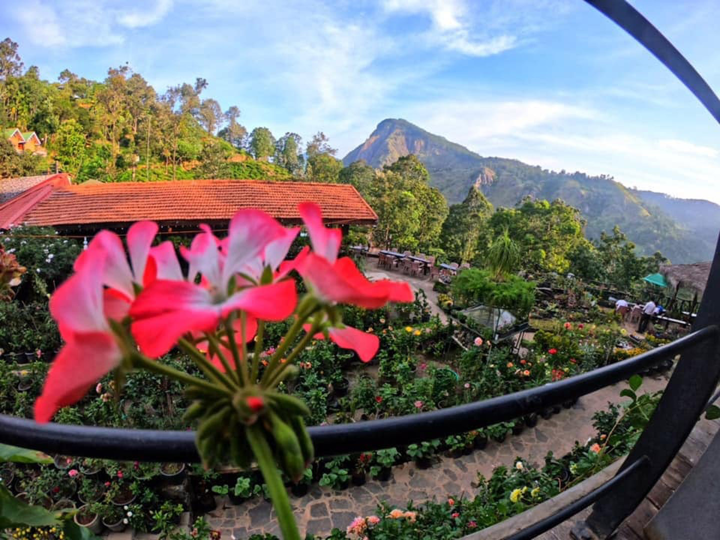 Ella Flower Garden Resort