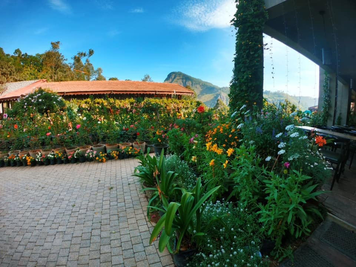 Ella Flower Garden Resort