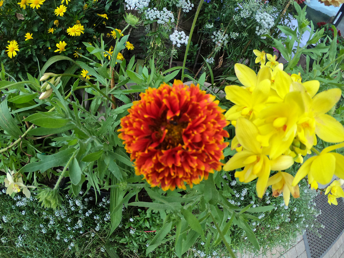 Ella Flower Garden Resort