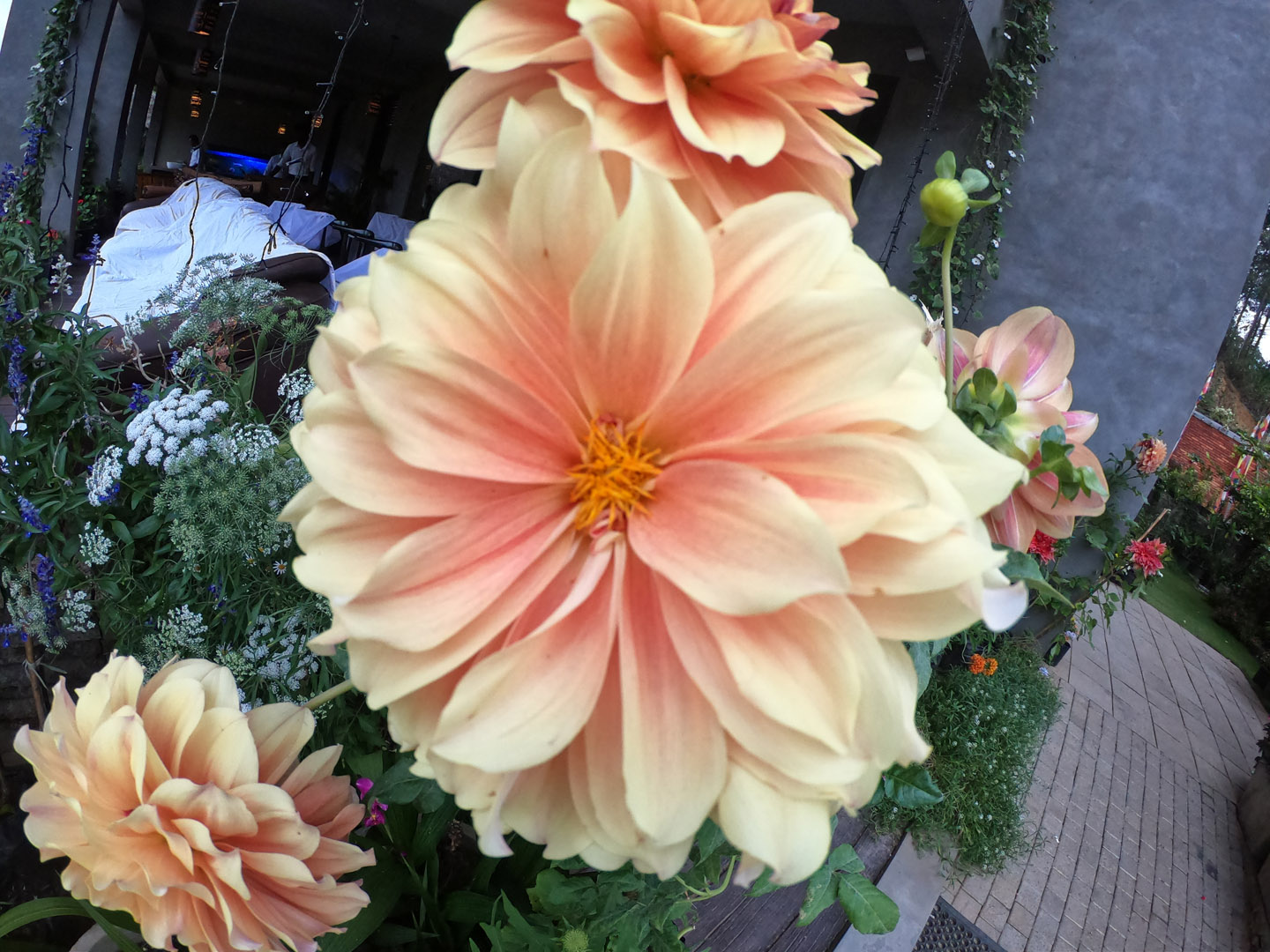 Ella Flower Garden Resort