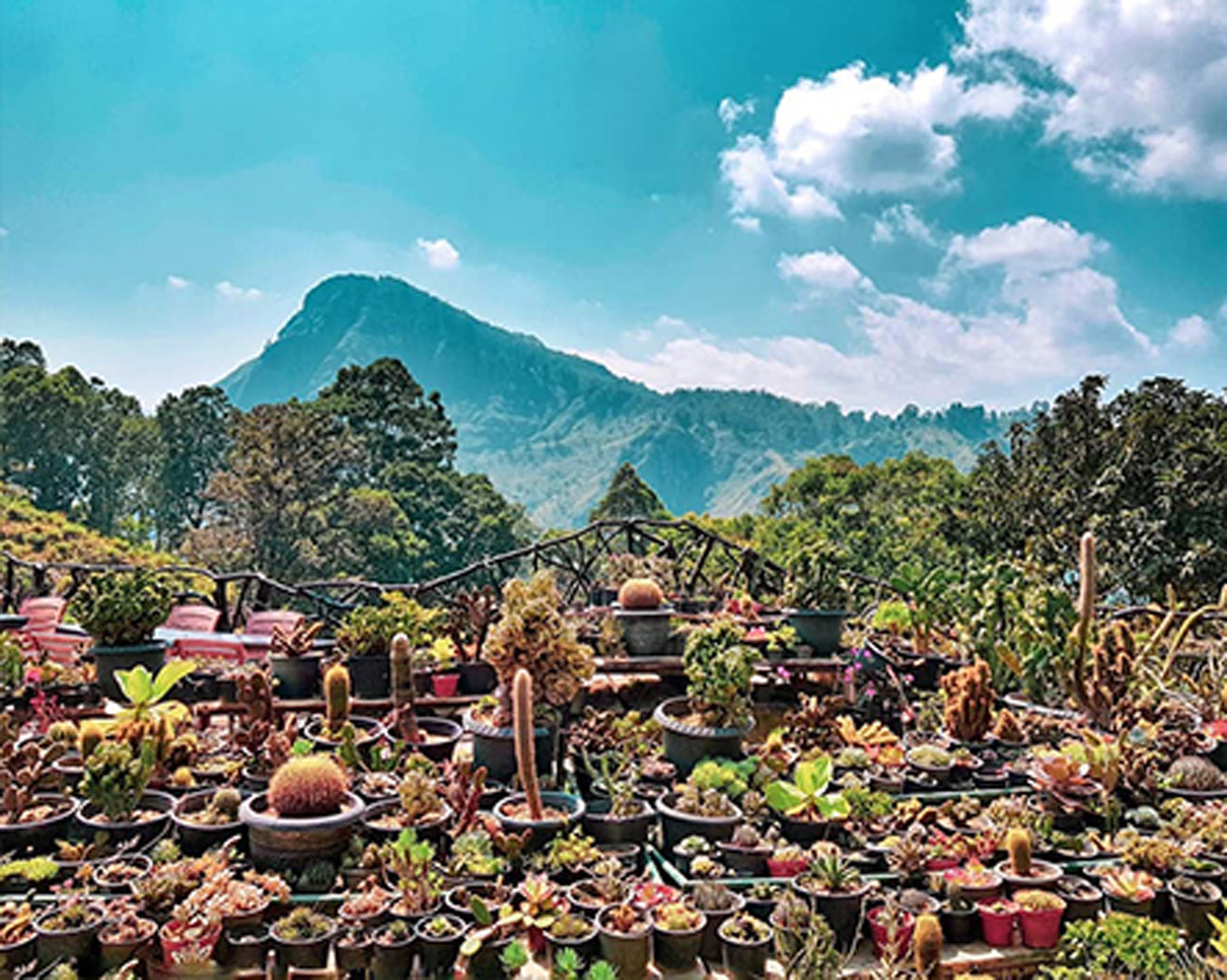 Ella Flower Garden Resort